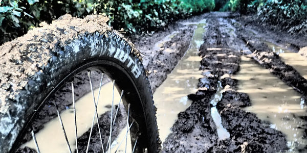 Peter Frawley’s E2E2E – Munda Biddi