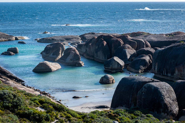 The New William Bay Realignment – Munda Biddi