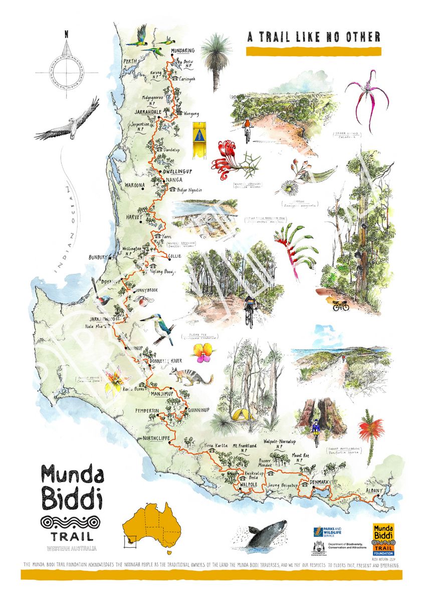 Munda Biddi Souvenir Poster A1